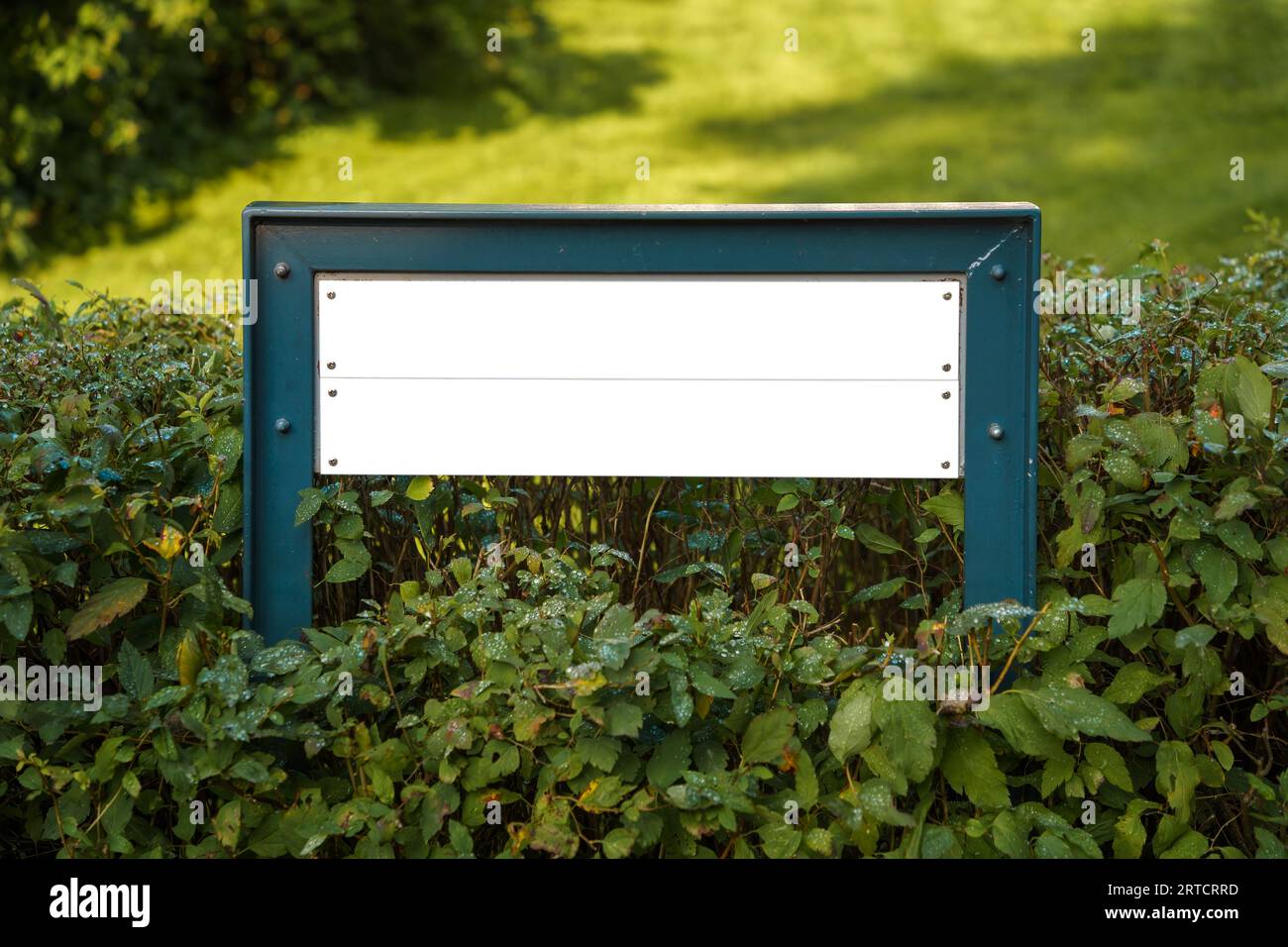 Small metallic empty white sign on a shrub surrounding the yard Stock ...