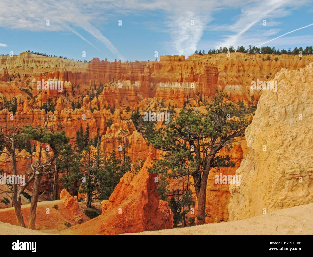 Looking out over the bizarre rock Hoodoos of Bryce Canyon, Utah, with a ...