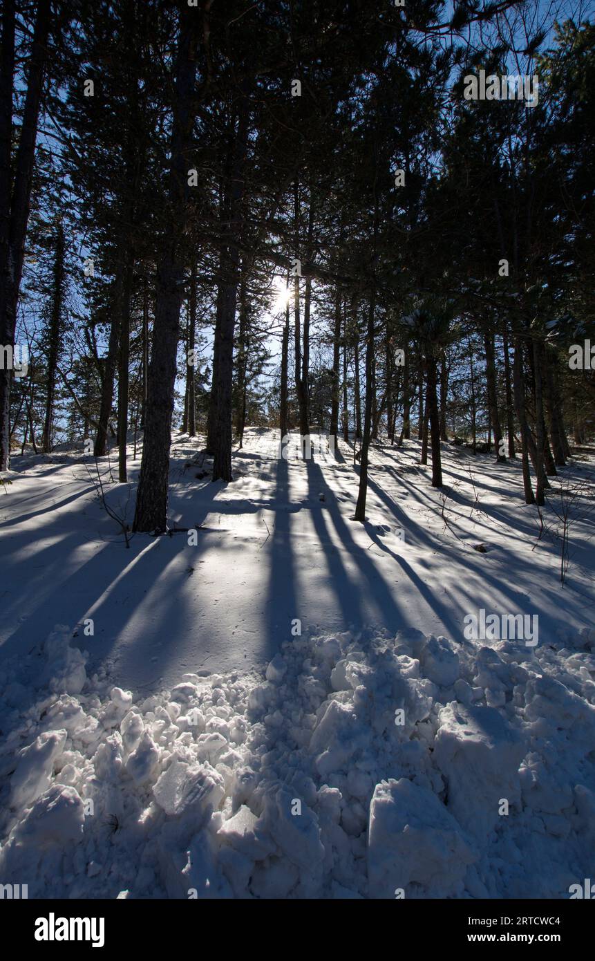 Punto luce hi-res stock photography and images - Alamy