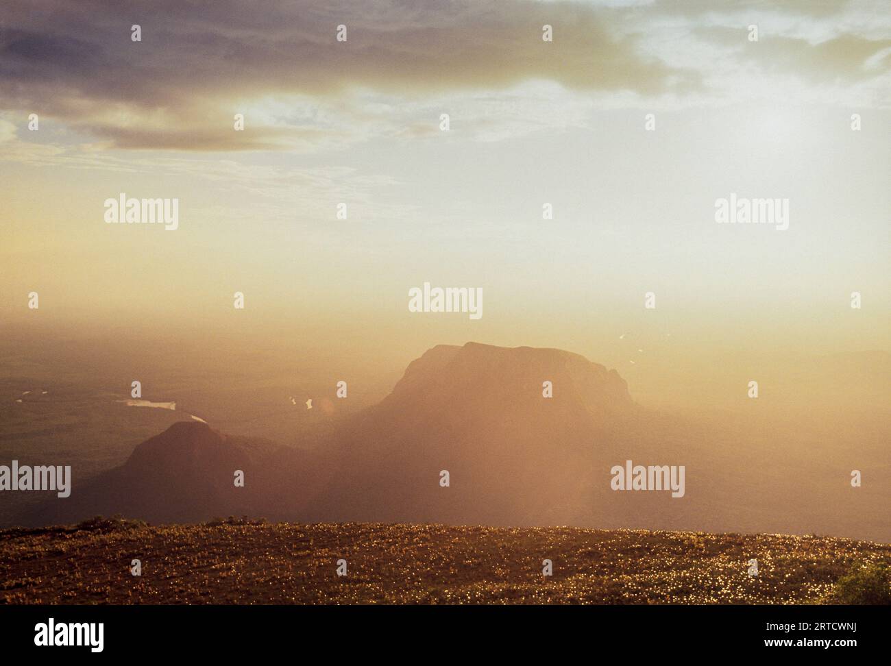 Amazonas silhouette hi-res stock photography and images - Alamy