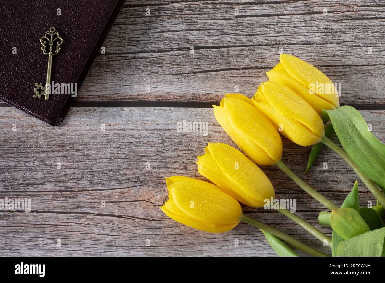 Ancient key on closed holy bible book and yellow tulips on wooden table ...