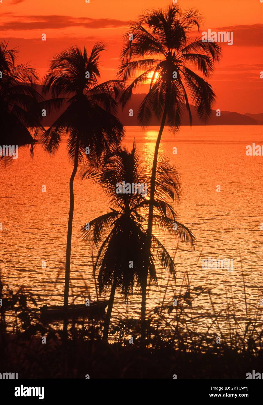 Sunset on a tropical beach with palm trees, Playa Colorada, Sucre State ...