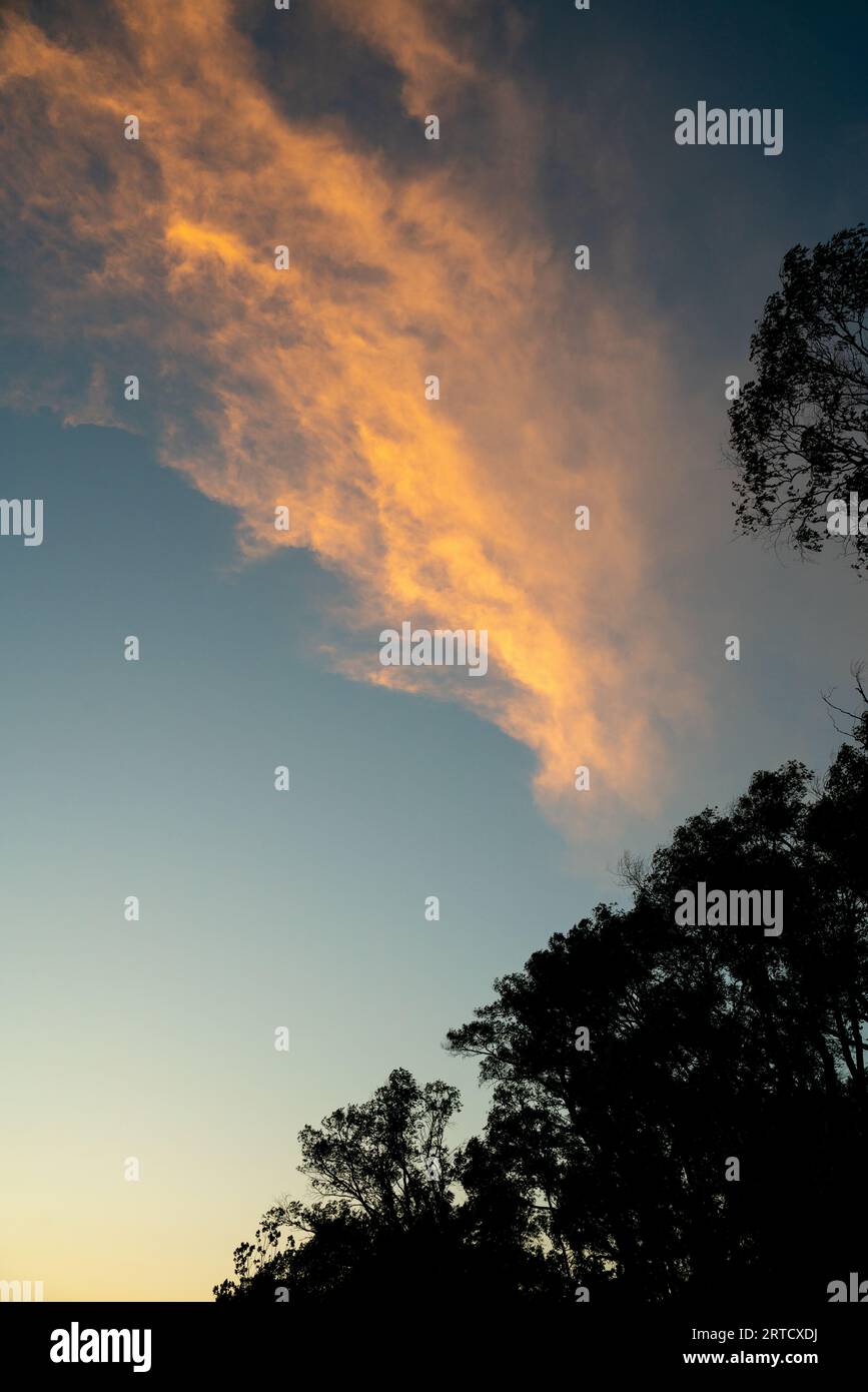 Orange clouds in the sky during a beautiful sunset Stock Photo - Alamy