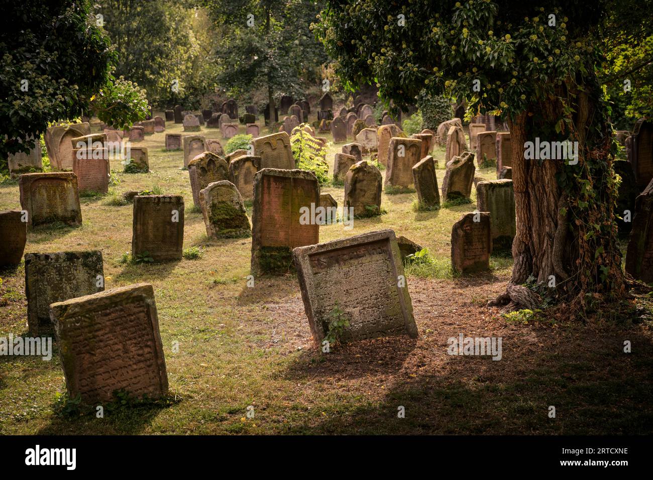 UNESCO World Heritage "SchUM Sites", medieval tombstones, Jewish ...