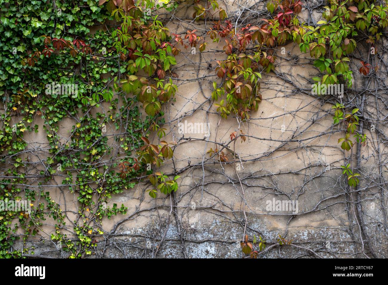 Terracotta brick stone masonry wall hi-res stock photography and images ...