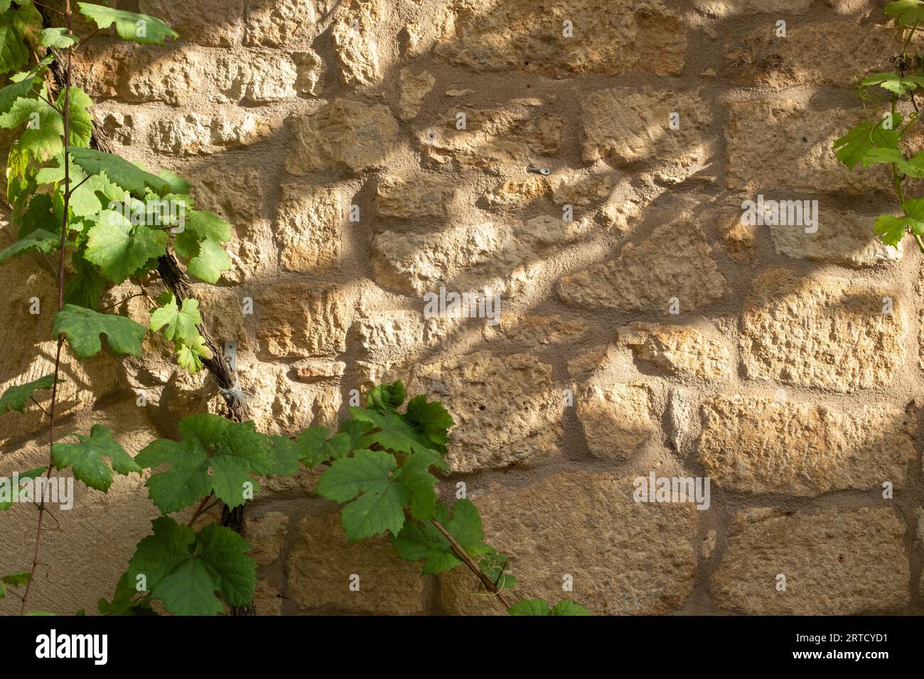 Terracotta brick stone masonry wall hi-res stock photography and images ...