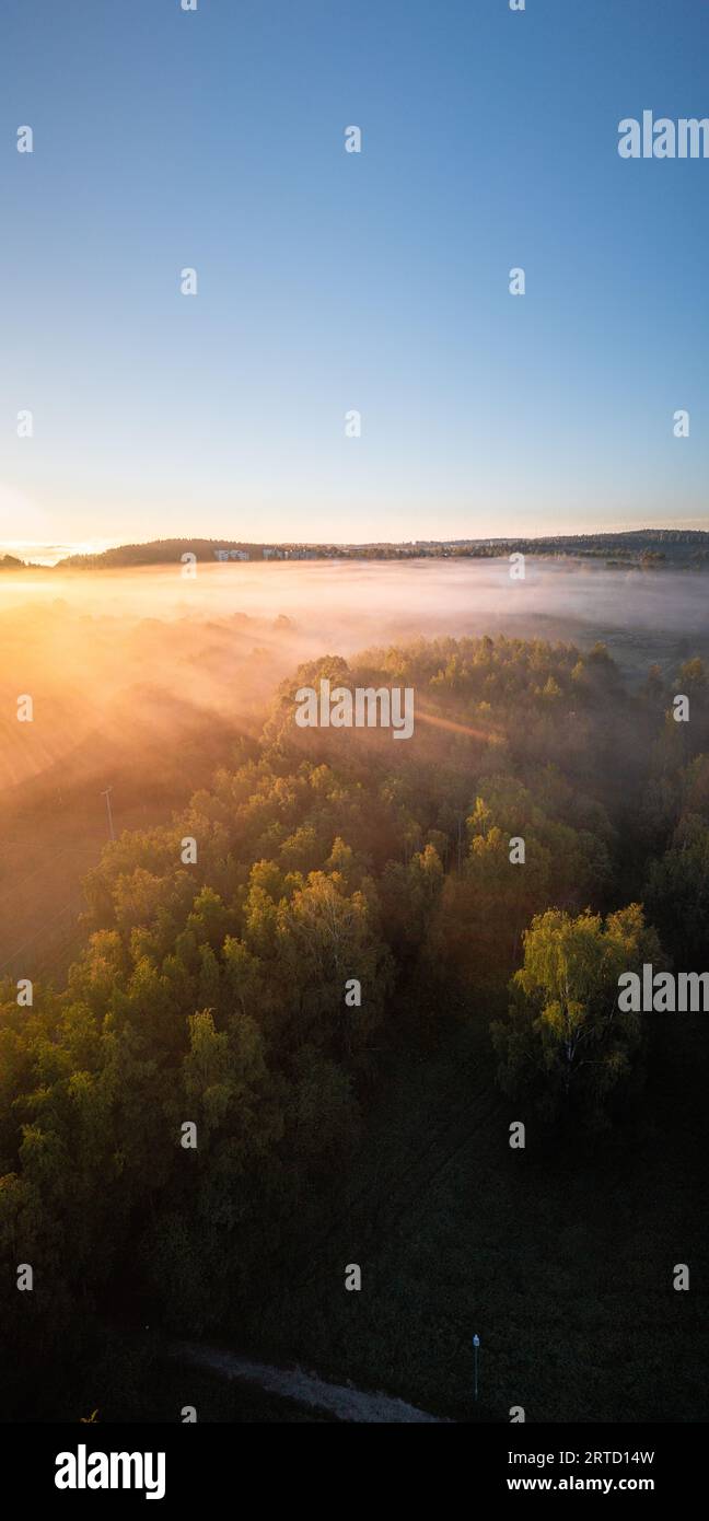 Aerial shot fog over forest hi-res stock photography and images - Alamy