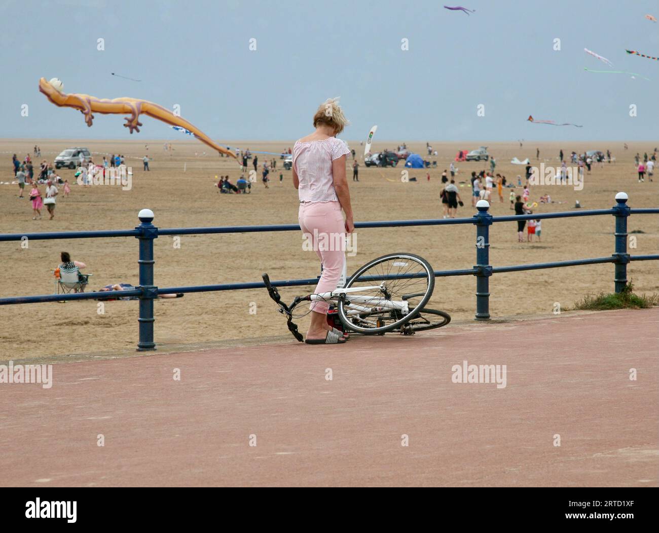 Young lady flying kite hi-res stock photography and images - Alamy