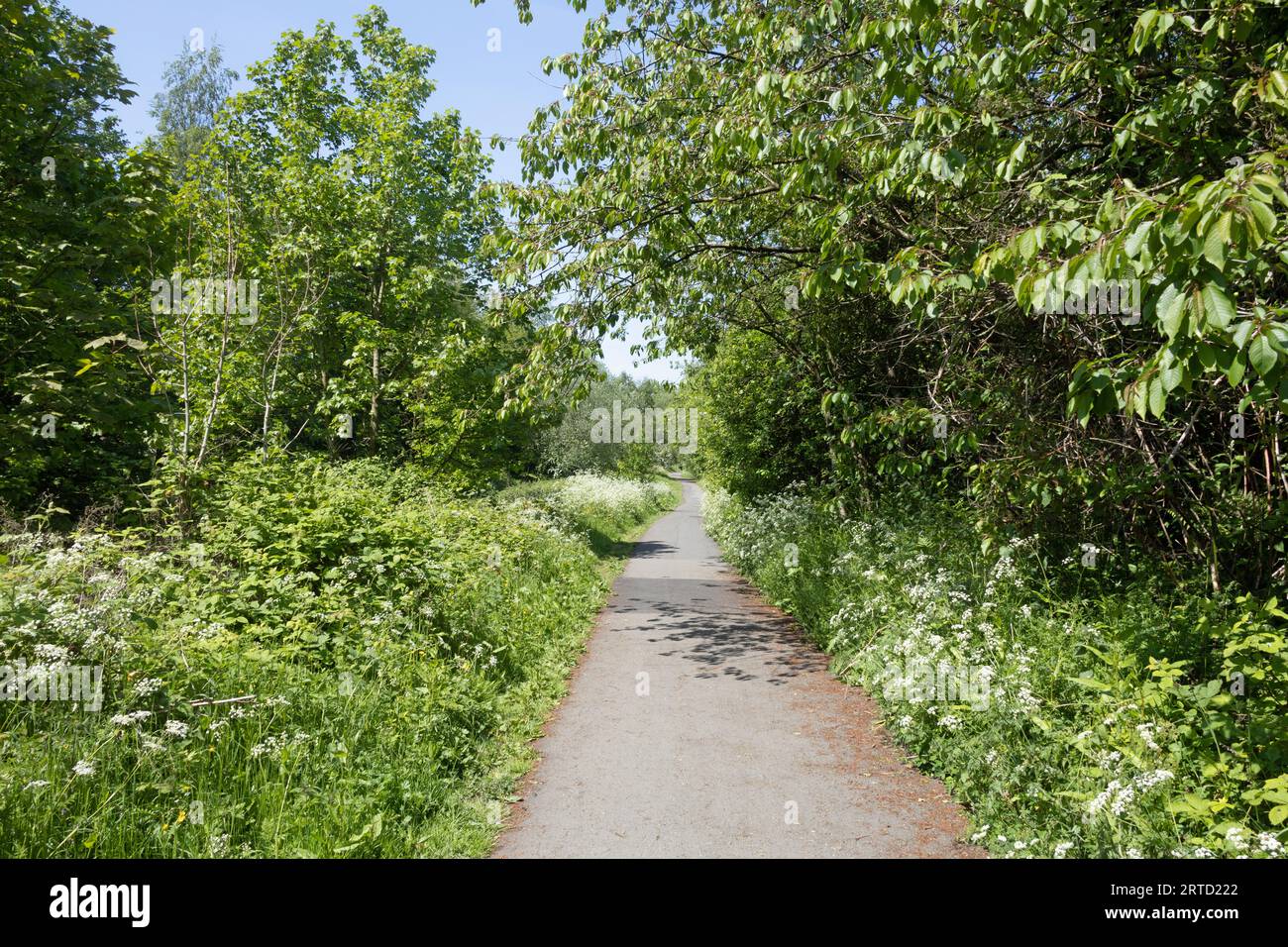 Old tramway now footpath and nature reserve linking Bamber Bridge to ...