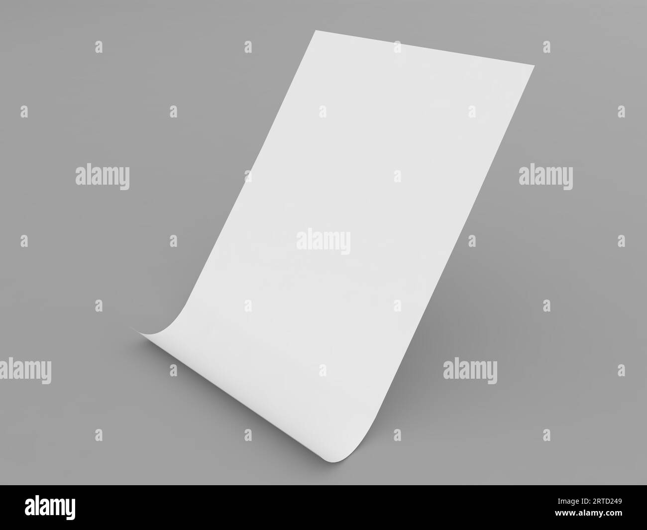 A white sheet of paper with a curved edge in A4 size on a grey ...