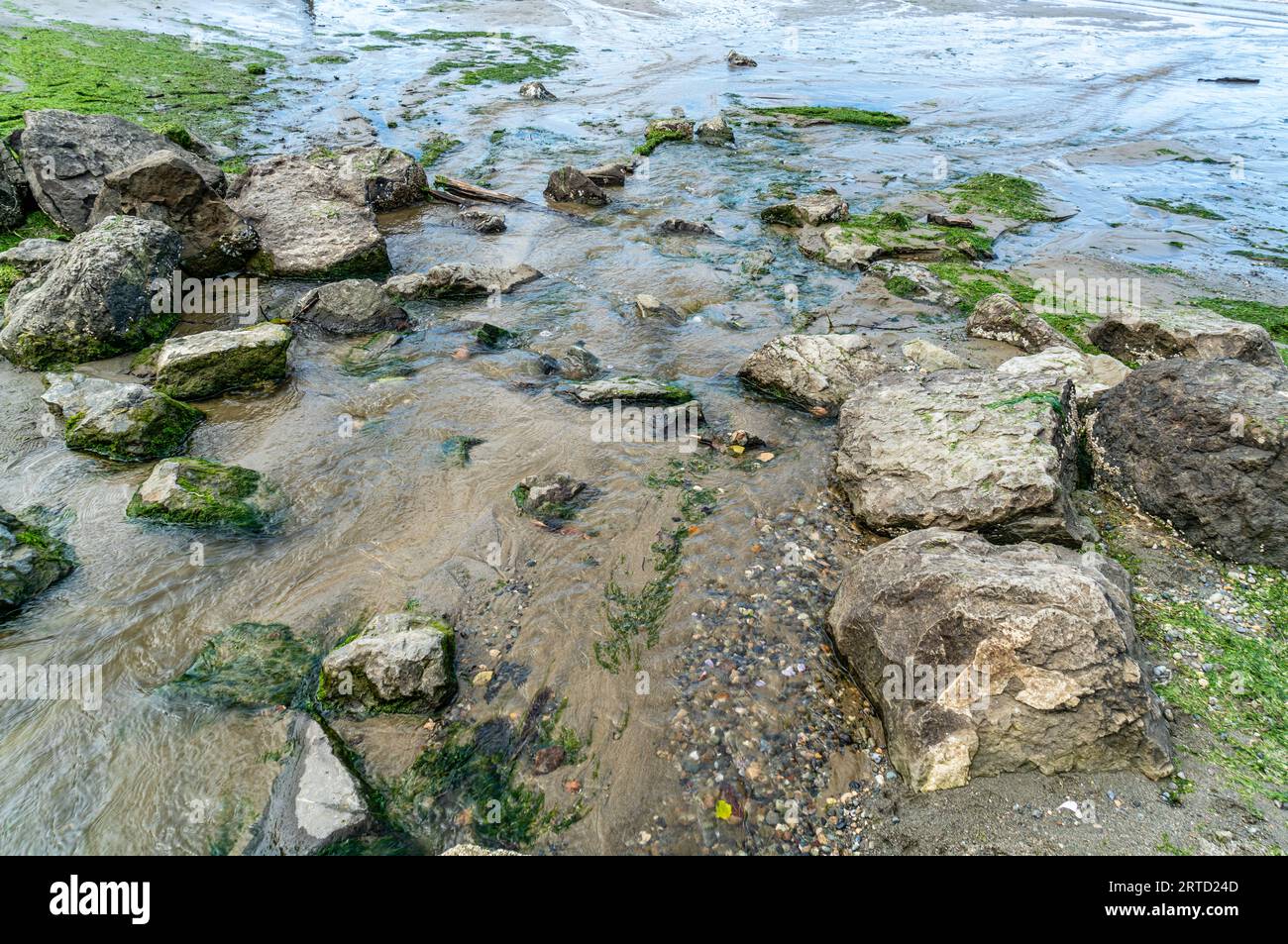 A view os rock along the shore at Dash Point State Park in Washington ...