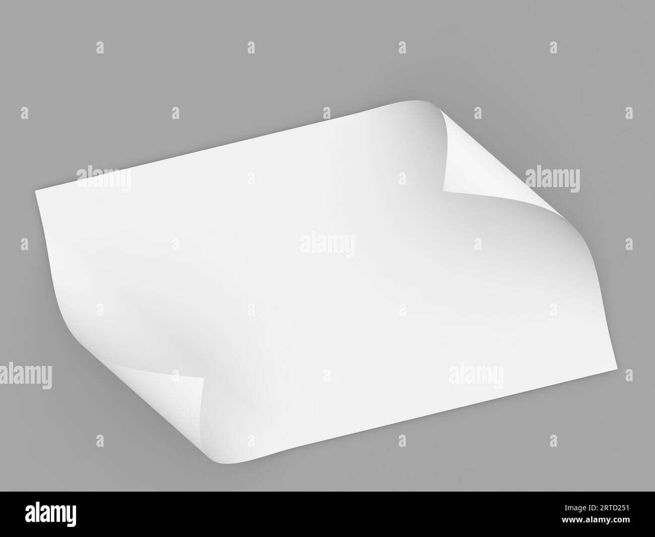 Sheet of A4 paper with curved edges on a grey background. 3d render ...