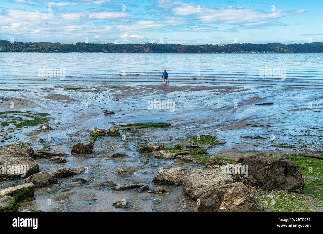 A view of the Puget Sound and shoreline at Dash Point State Park in ...