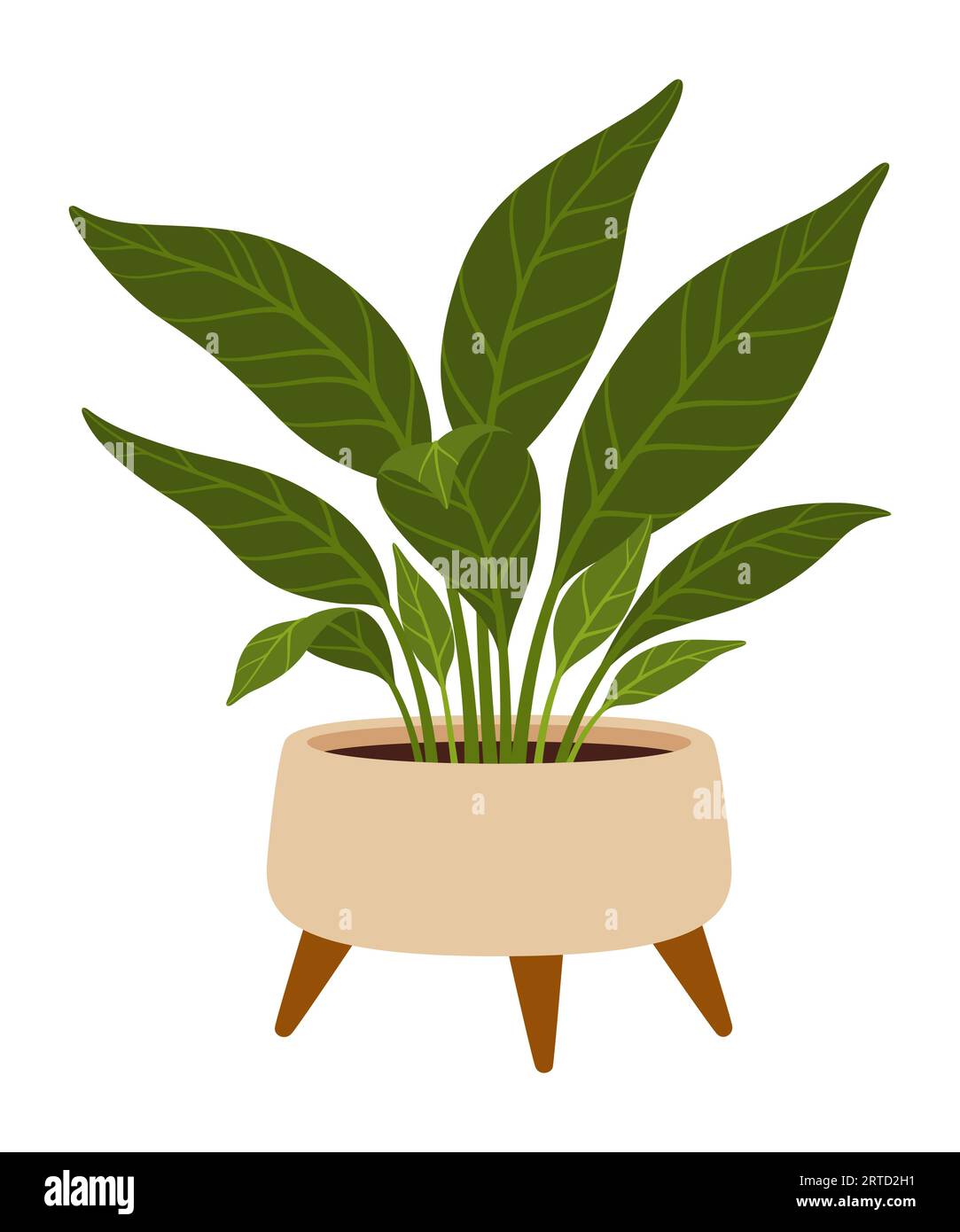 Potted Plants Clipart