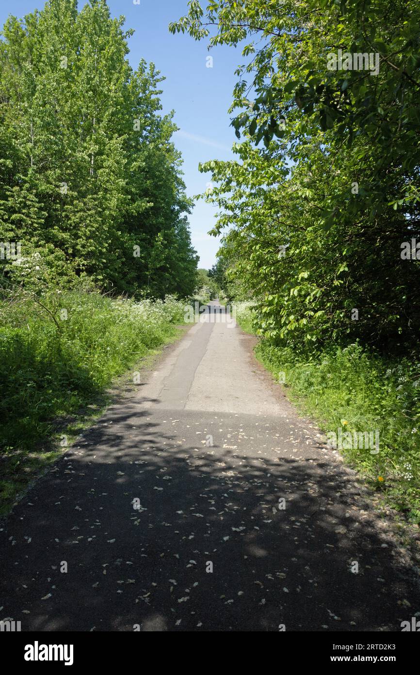 Old Tramway Now Footpath And Nature Reserve Linking Bamber Bridge To
