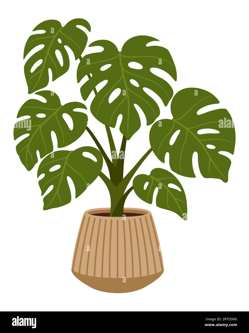 Pot with monstera plant. Isolated cartoon vector large, tropical green ...