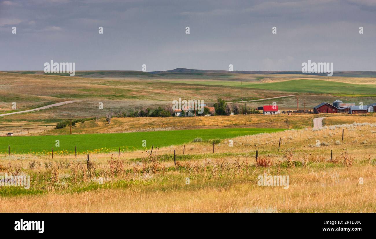 Large scale grain farming and cattle ranching on the almost treeless ...