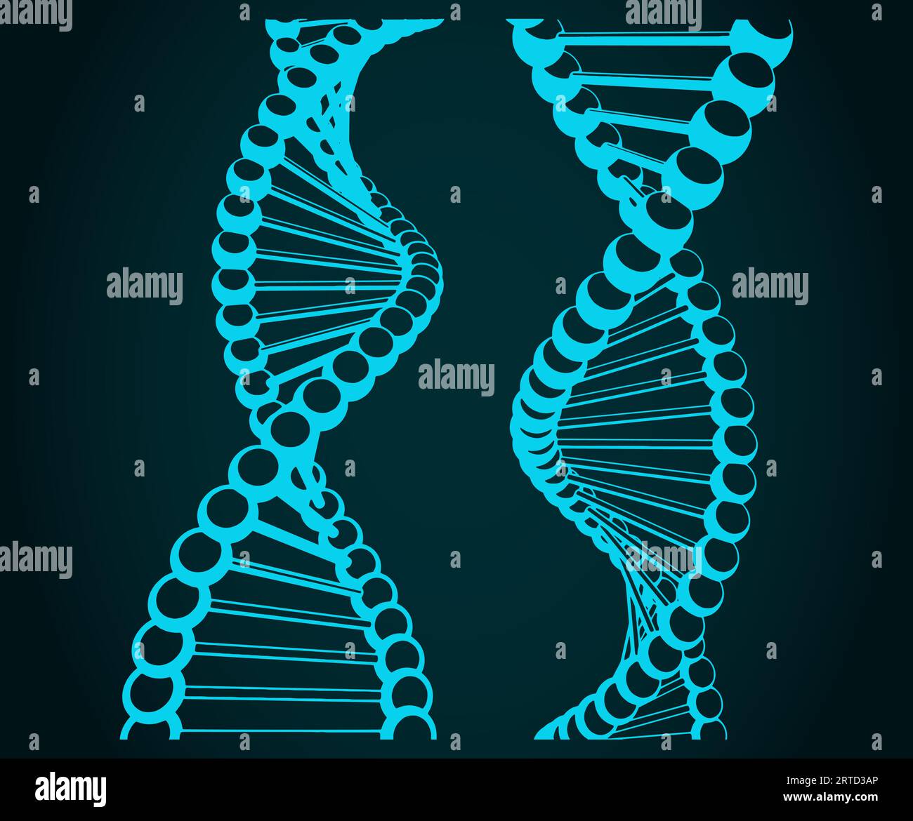 Stylized vector illustration of DNA chains Stock Vector Image & Art - Alamy