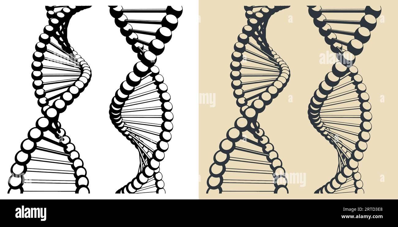 Stylized vector illustrations of DNA chains Stock Vector Image & Art ...
