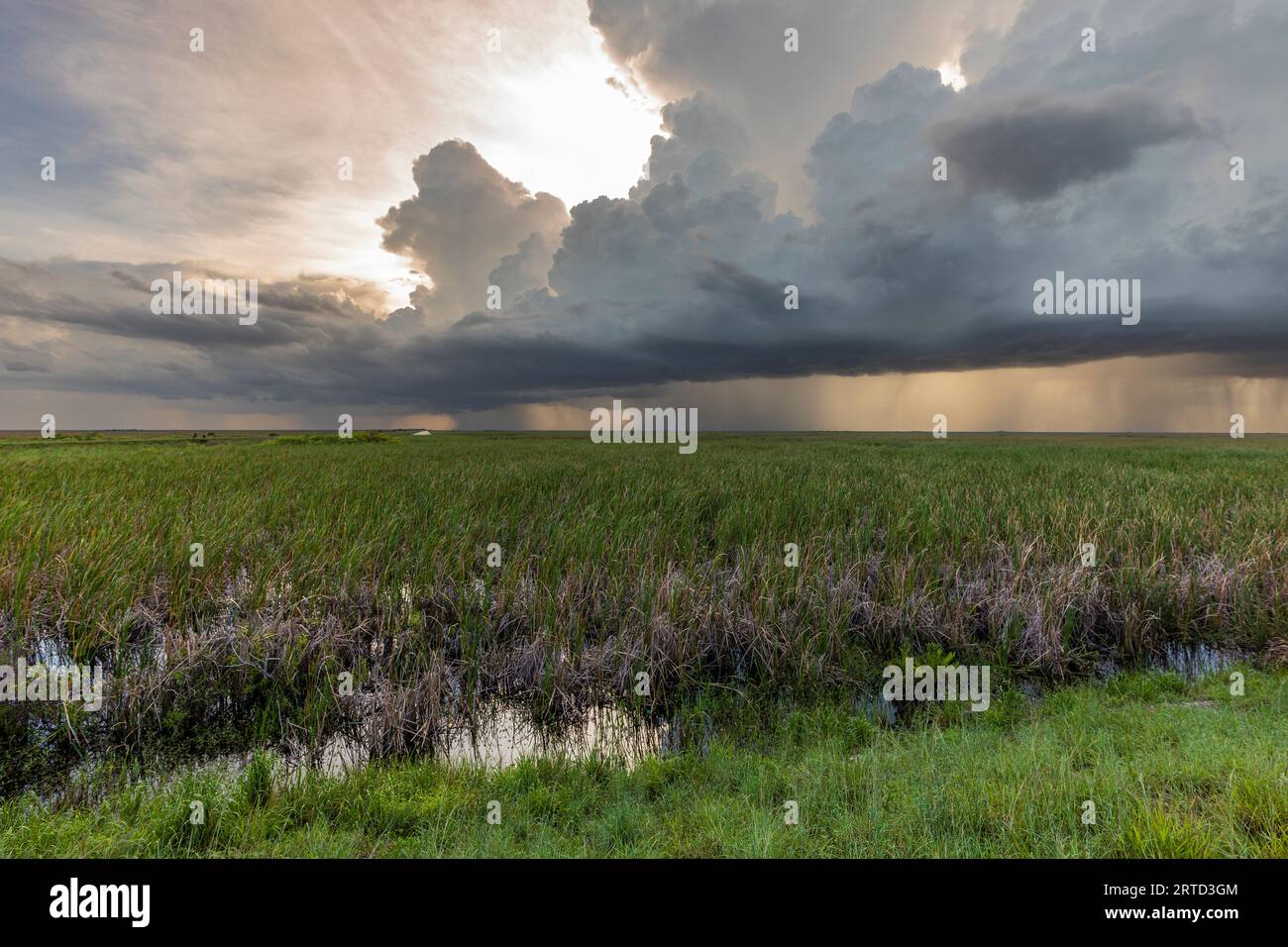 Everglades storm hi-res stock photography and images - Alamy