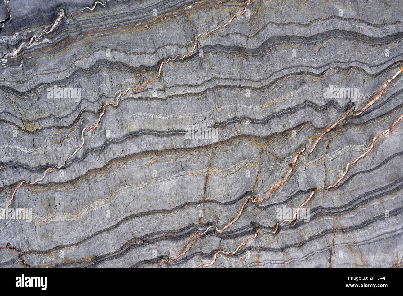 Micro folds on metemorphic rock with quartz veins. This photo was taken ...