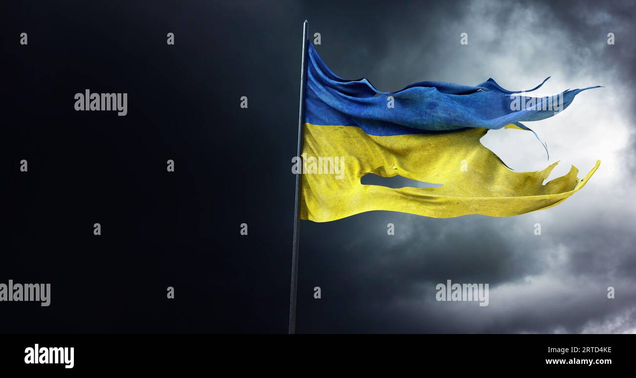 State flag of Ukraine - Yellow and blue national flag. a visual design ...