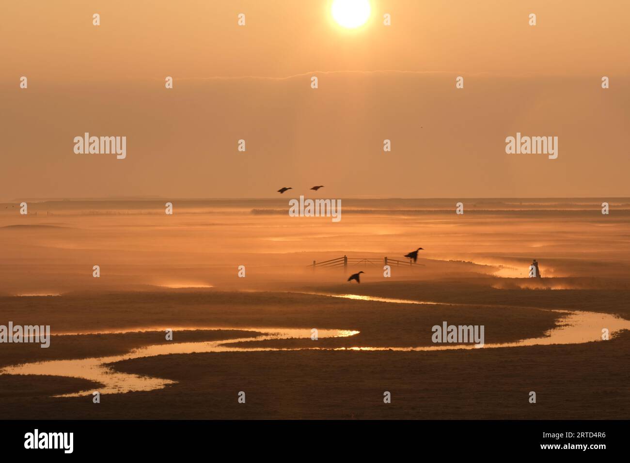Scenic coast kent island coastal hi-res stock photography and images ...