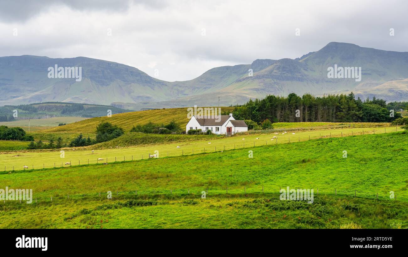 Green landscape of mountains with sheep farms on the Isle of Skye ...