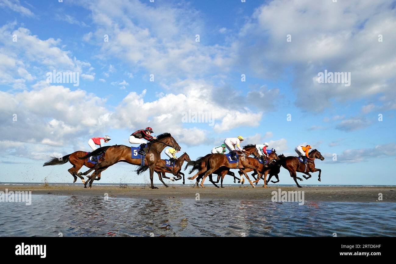 Runners and riders in action during The Pride Of Place Maiden at ...