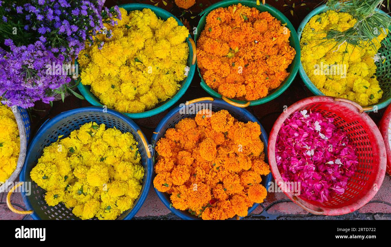 Array of flowers hi-res stock photography and images - Alamy