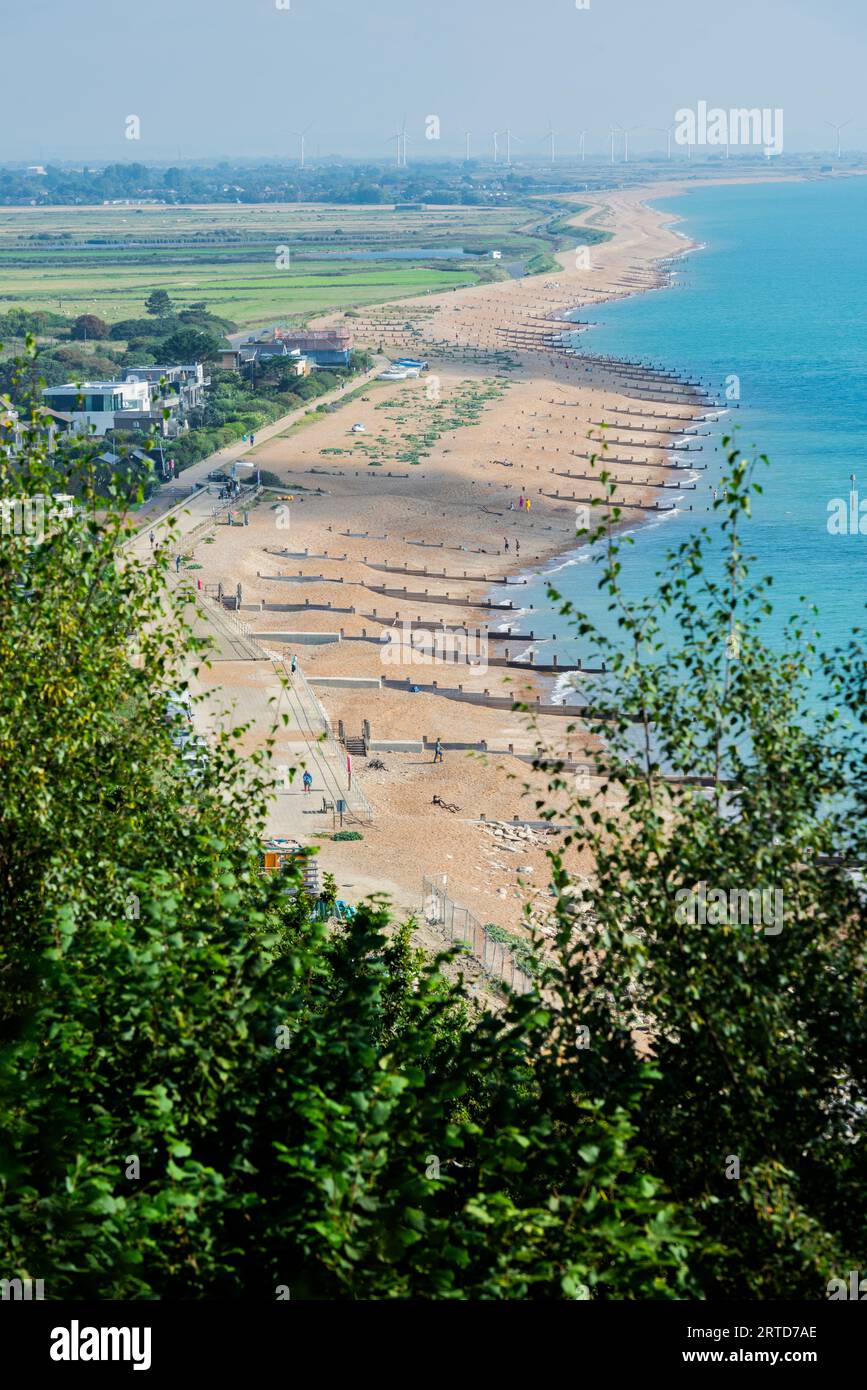 Pett hi-res stock photography and images - Alamy