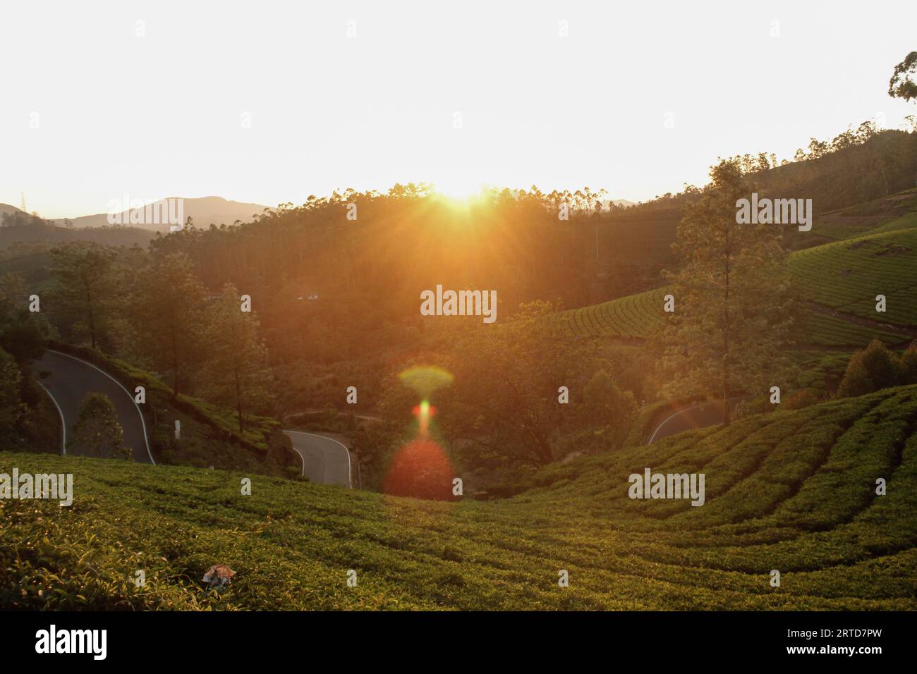 Beautiful sunset at Munnar hills, Kerala Stock Photo - Alamy