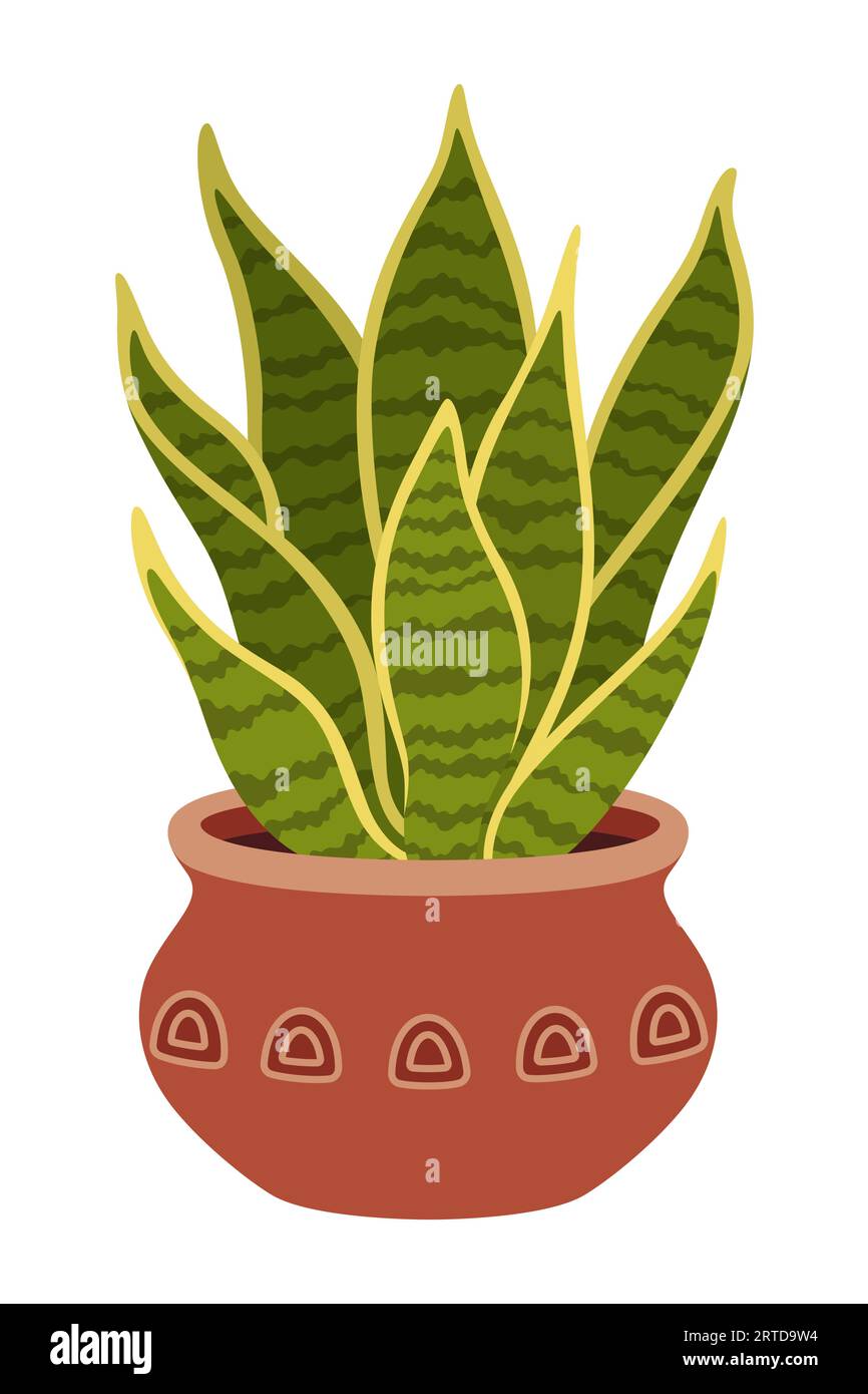 Pot with artificial snake plant. Vector Sanseveria flower with tall and ... Pot with artificial snake plant. Vector Sanseveria flower with tall and ...