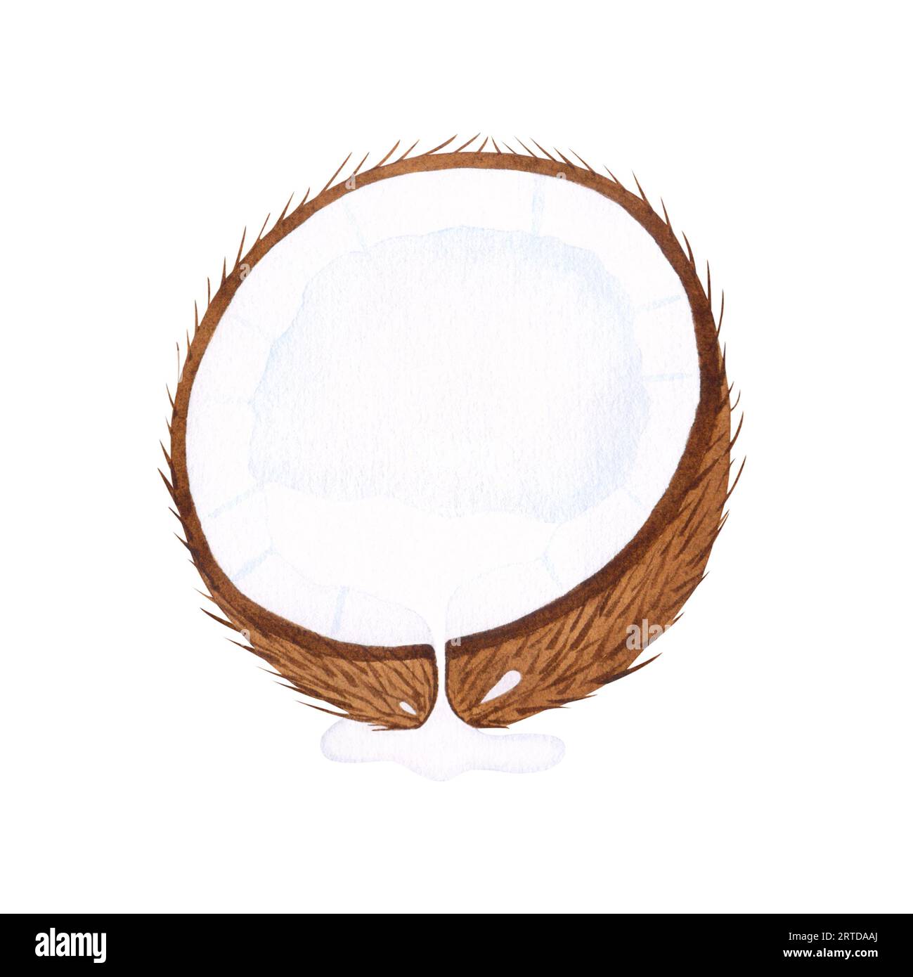 Watercolor coconut with splash of milk, isolated element for design ...