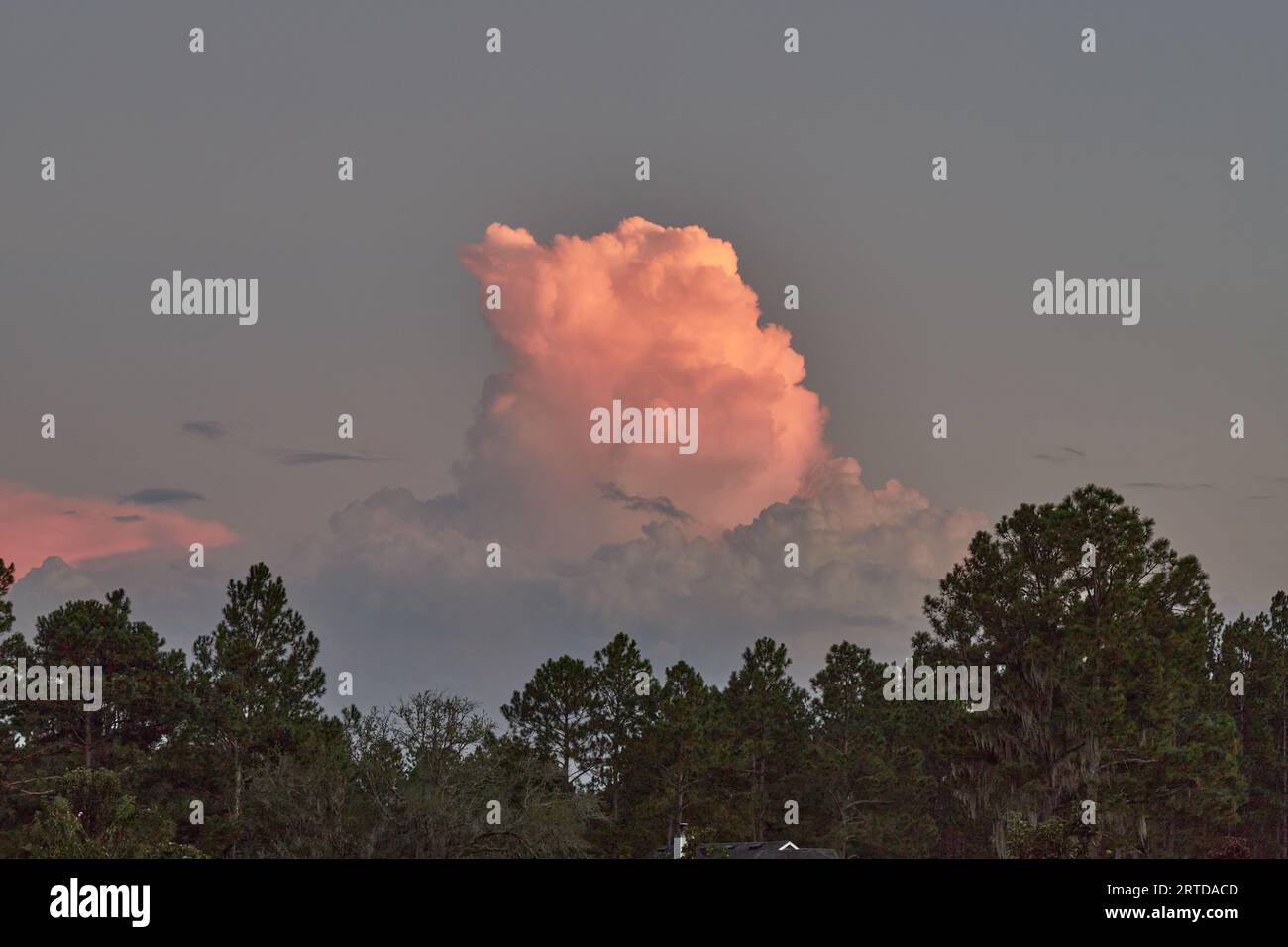 Clouds floating in pine hi-res stock photography and images - Alamy