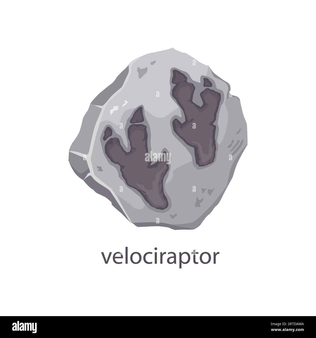 Trace fossil hi-res stock photography and images - Alamy