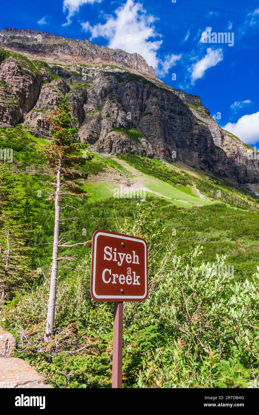 Siyeh Creek in Glacier National Park in Montana Stock Photo - Alamy