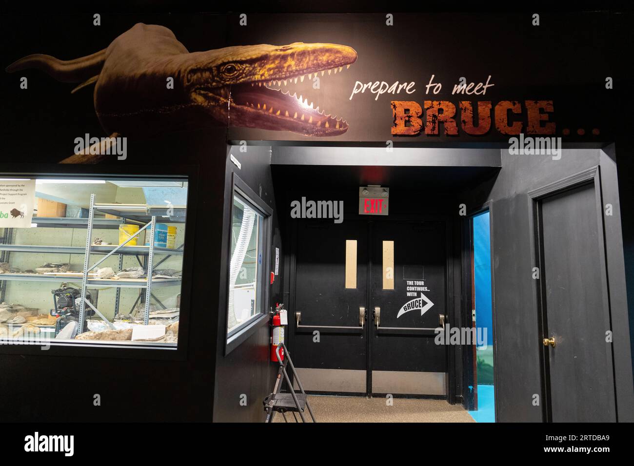 The mosasaur Bruce at the fossil museum in Morden, Manitoba, Canada in ...