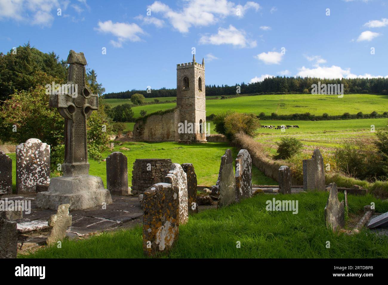 High cross, ruin of church and graveyard Killamery, Kilkenny, Ireland ...
