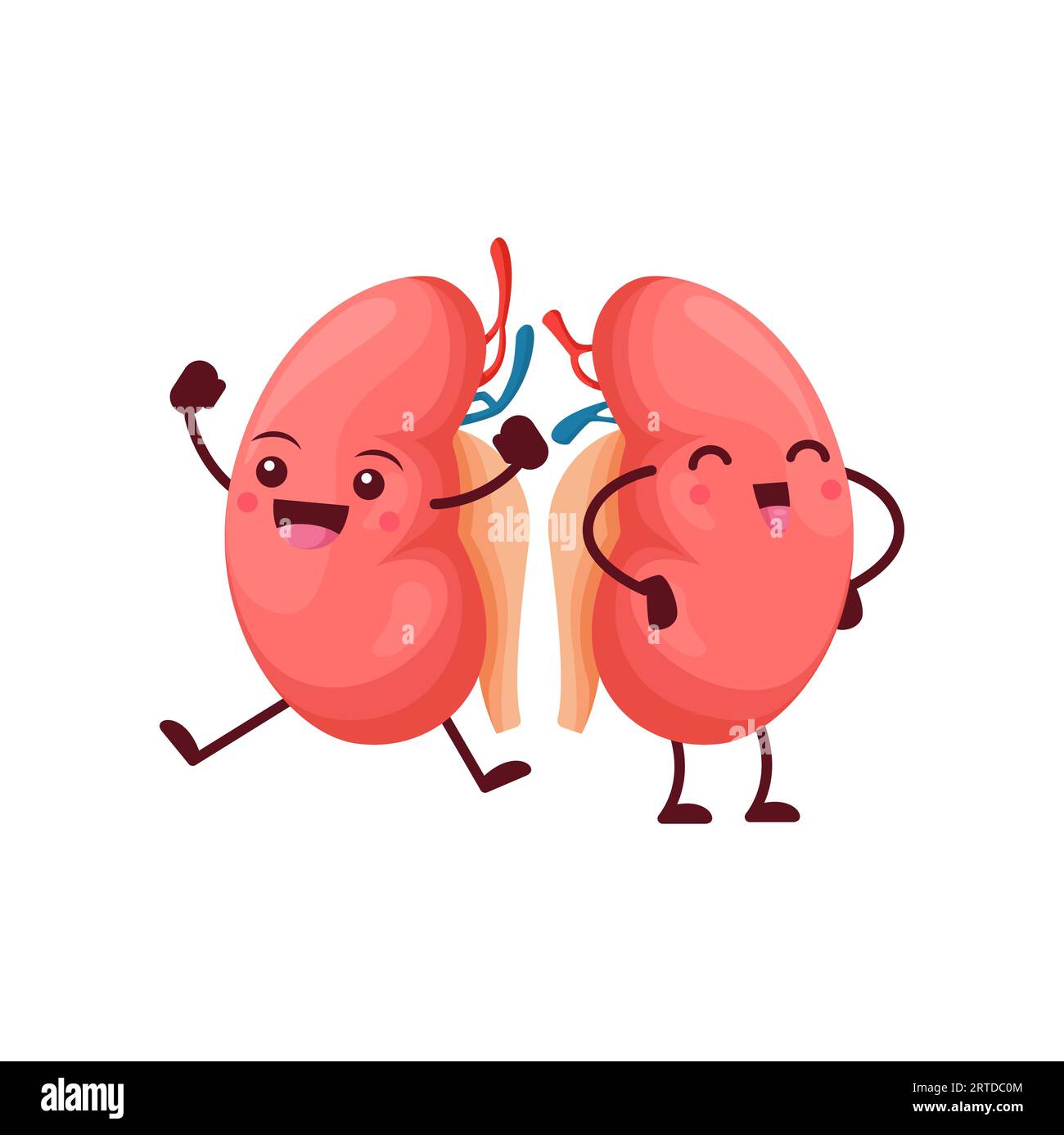 Cartoon kidneys body organs characters. Vector human reins anatomical ...