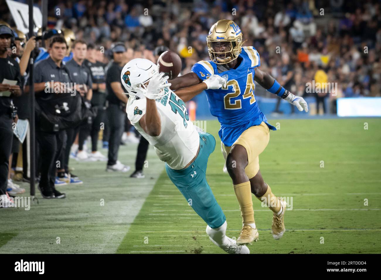 Pinckney hi-res stock photography and images - Alamy