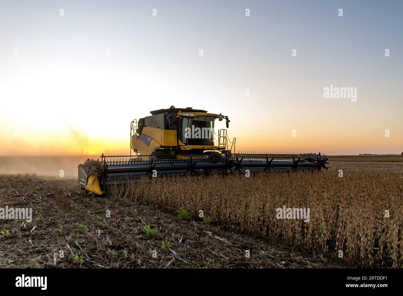 Combine harvester transferring corn grains to hopper in rural Argentine ...