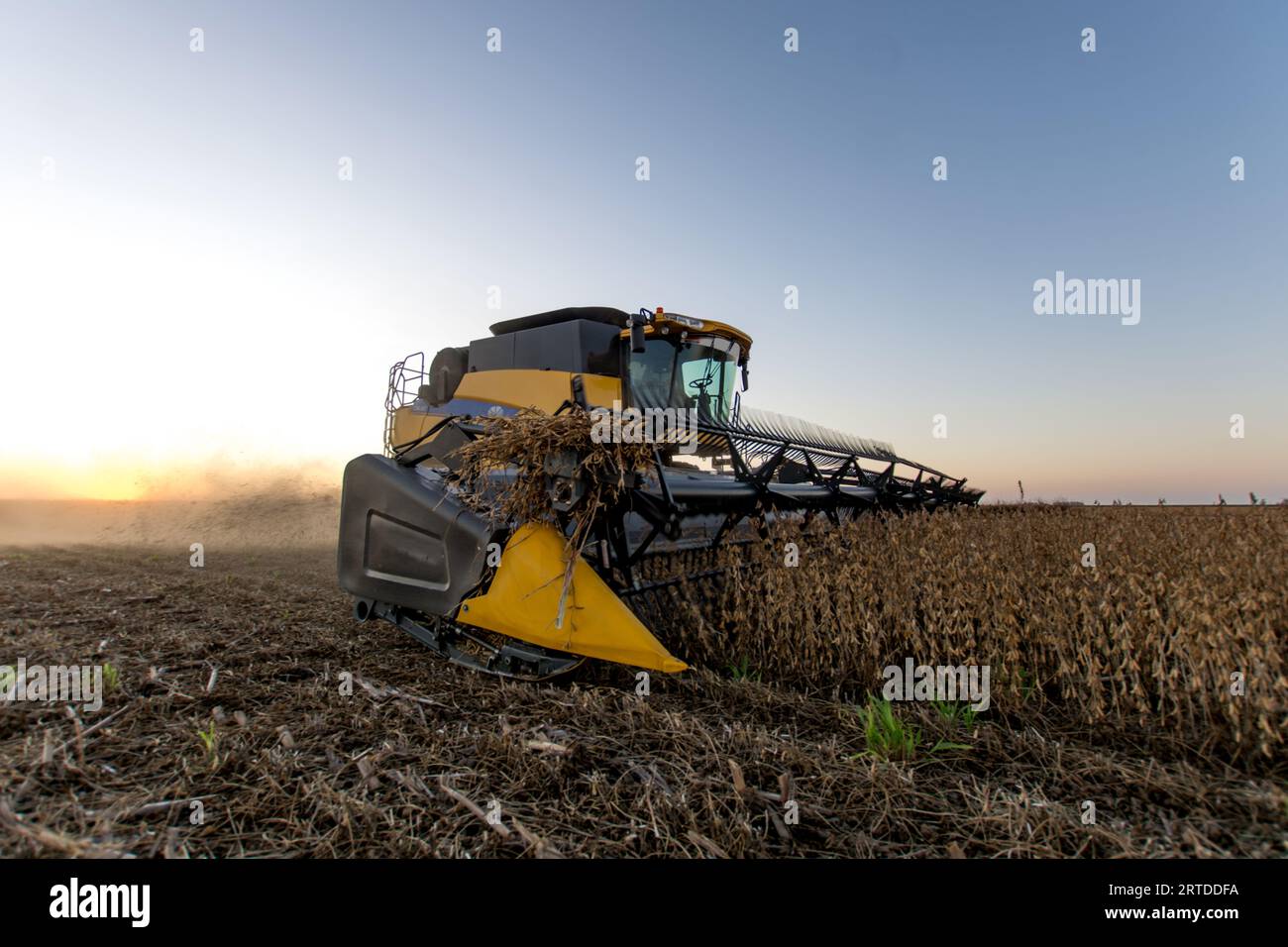 Combine harvester collecting corn grains in rural Argentine field Stock ...