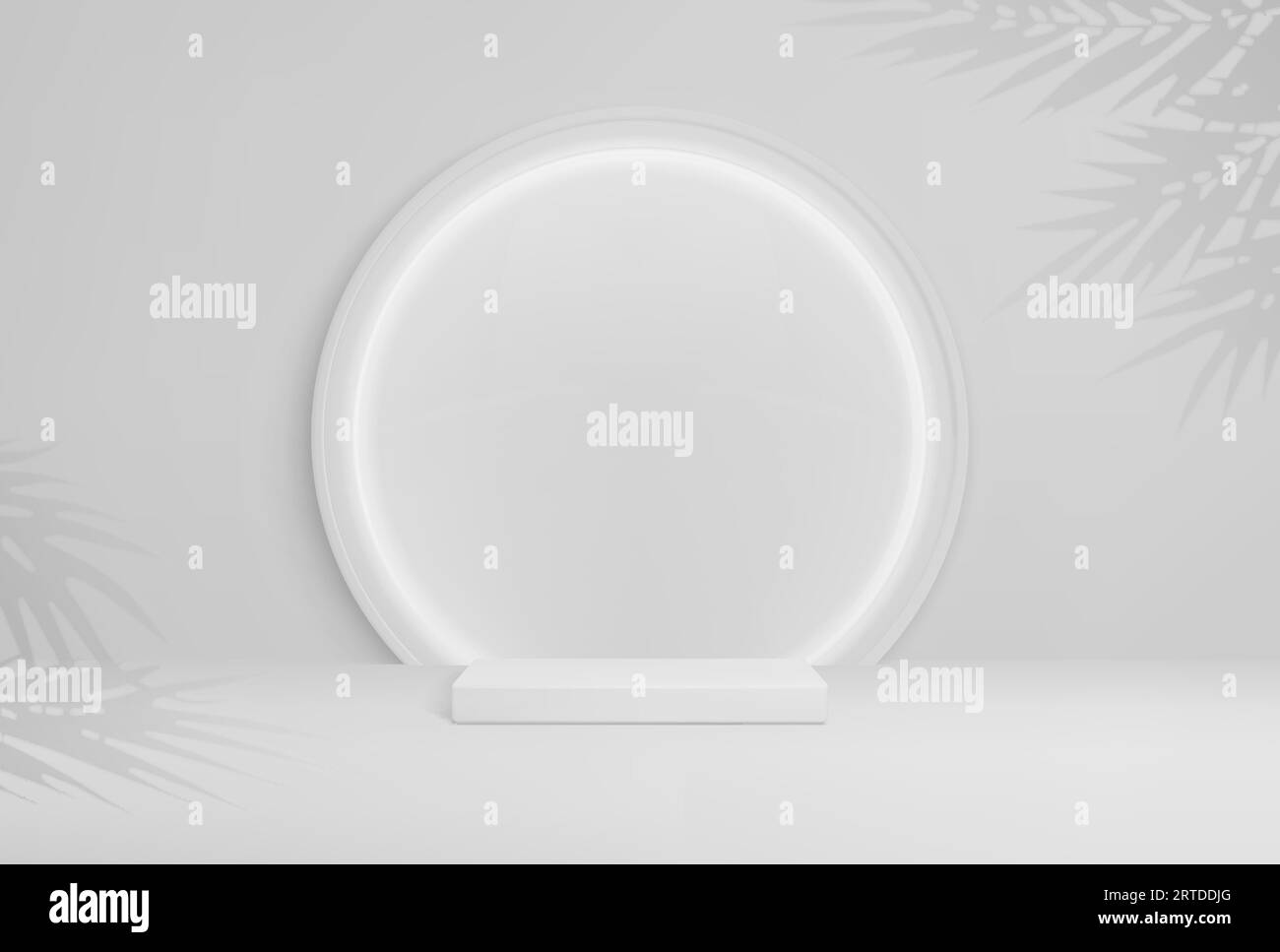 Grey round podium with palm leaves. 3d realistic platform or pedestal ...
