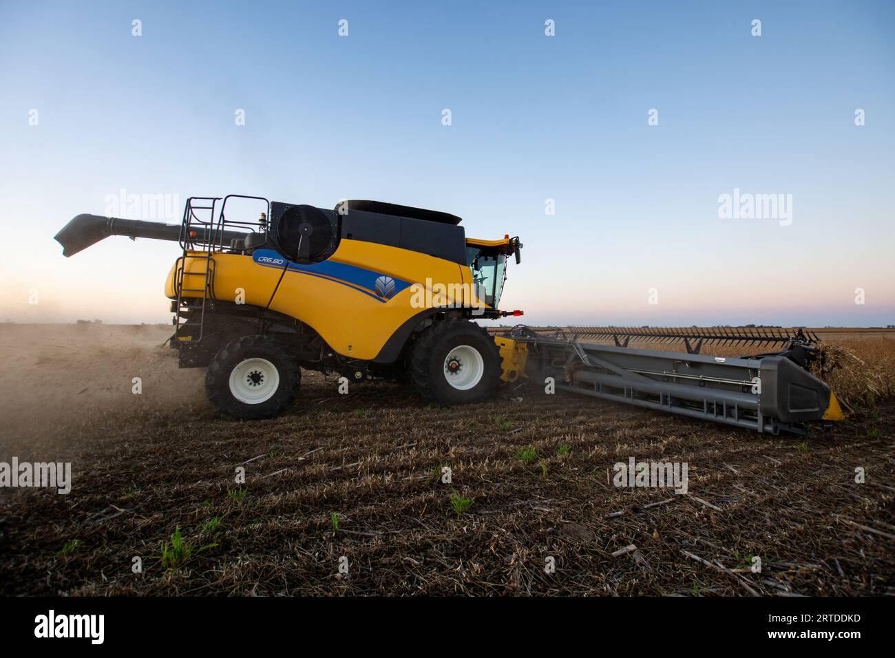 Combine harvester collecting corn grains in rural Argentine field Stock ...
