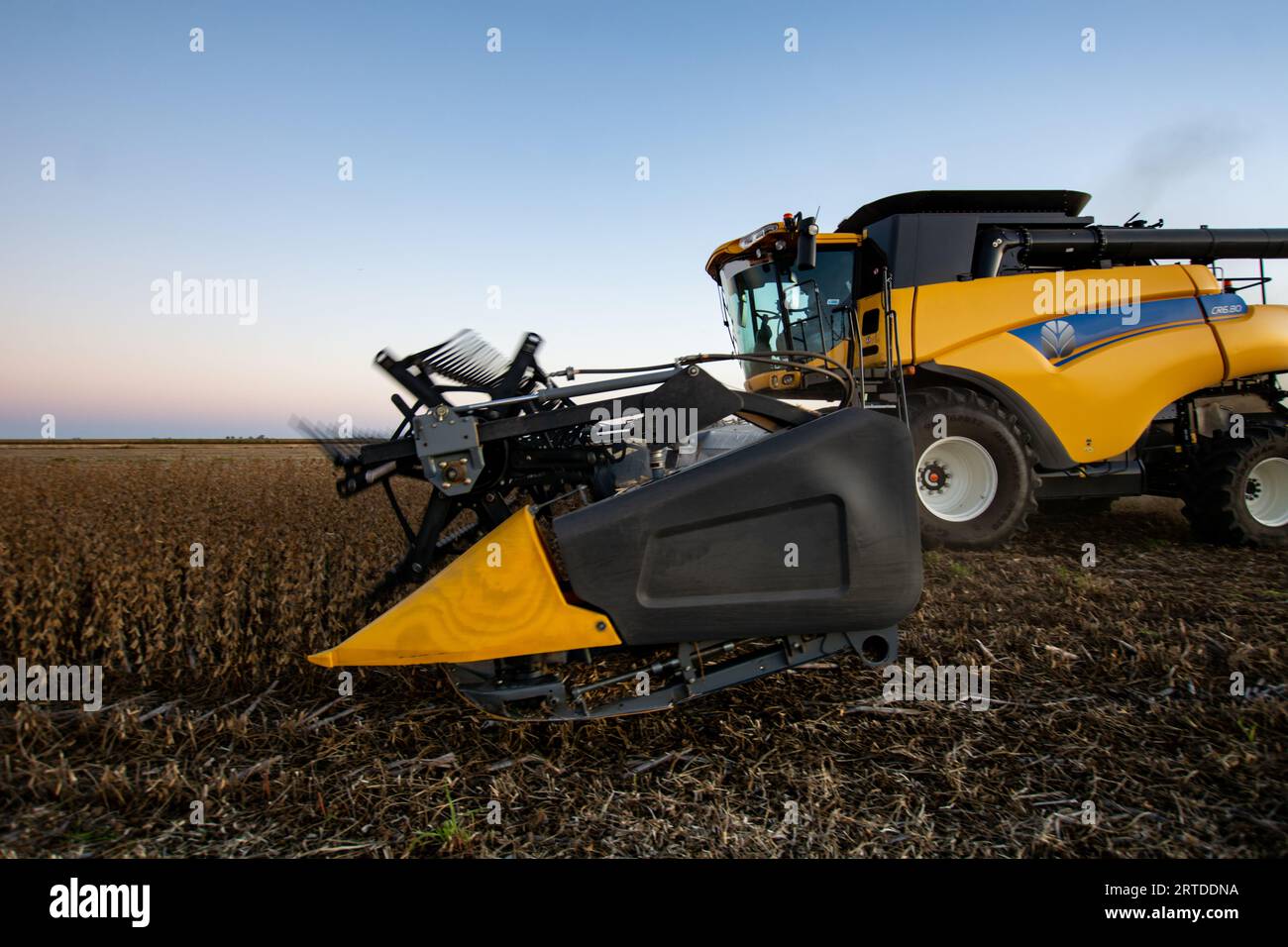 Combine harvester collecting corn grains in rural Argentine field Stock ...