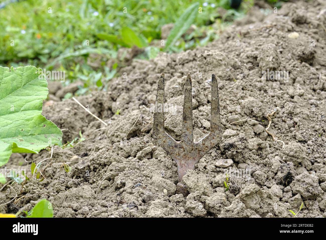 Hand fork gardening hi-res stock photography and images - Alamy