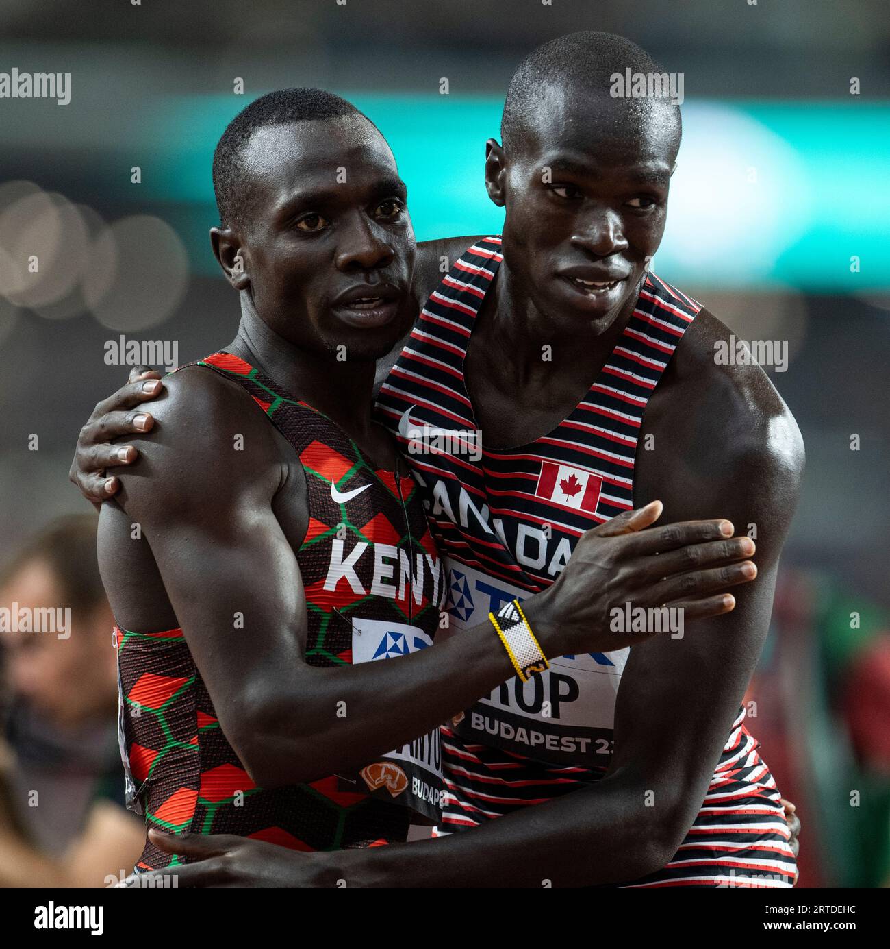 Emmanuel Wanyonyi of Kenya and Marco Arop of Canada celebrate after ...