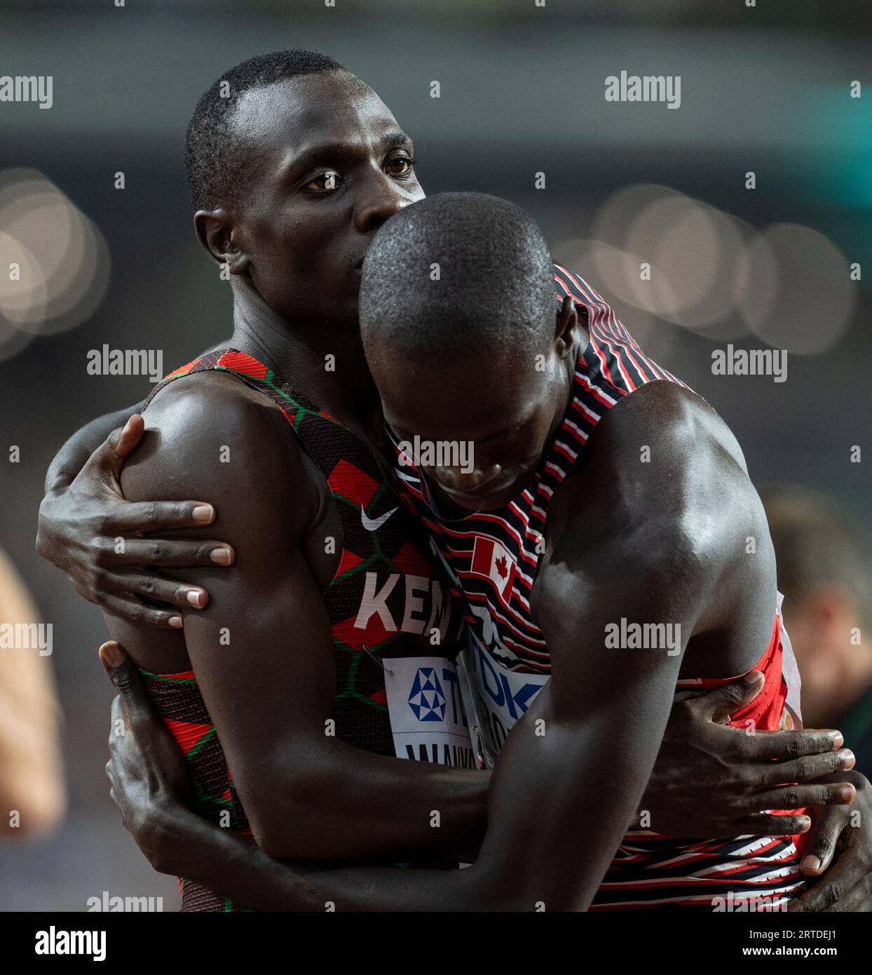 Emmanuel Wanyonyi of Kenya and Marco Arop of Canada celebrate after ...