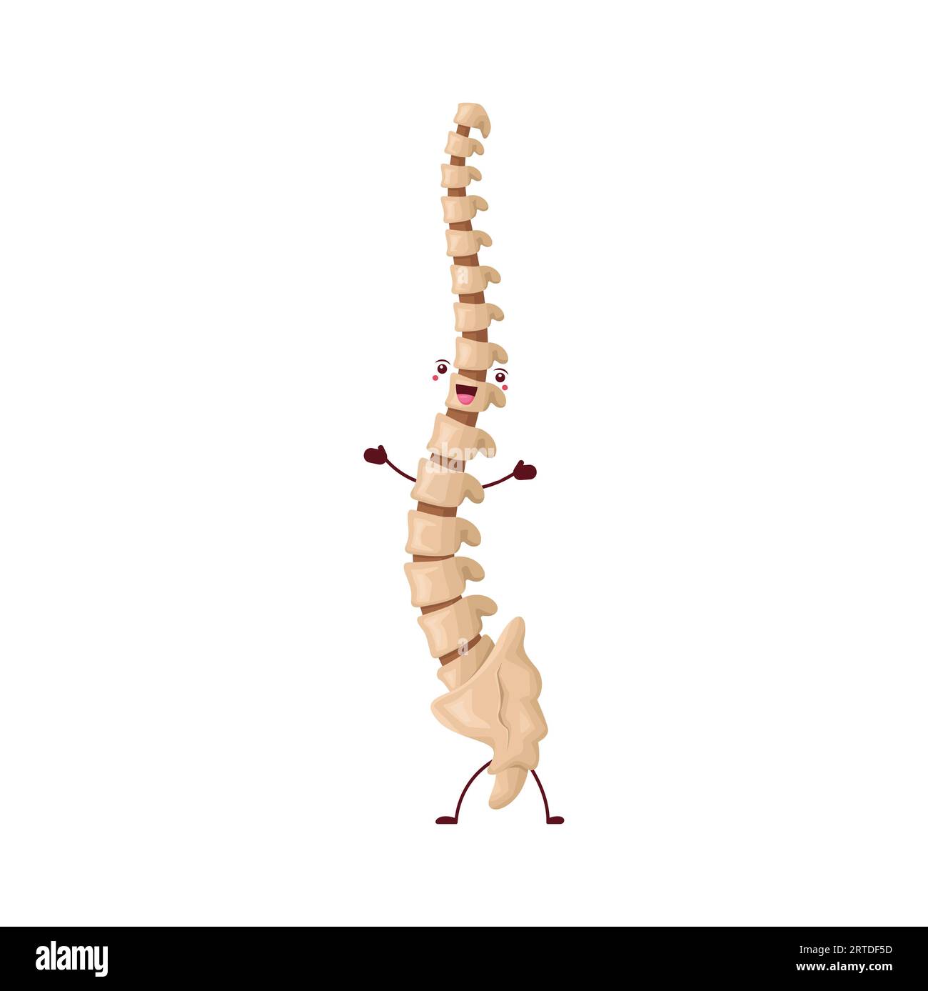 Funny Spinal Cord